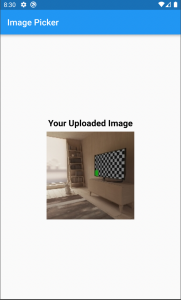 ImagePicker In Flutter - Mobikul